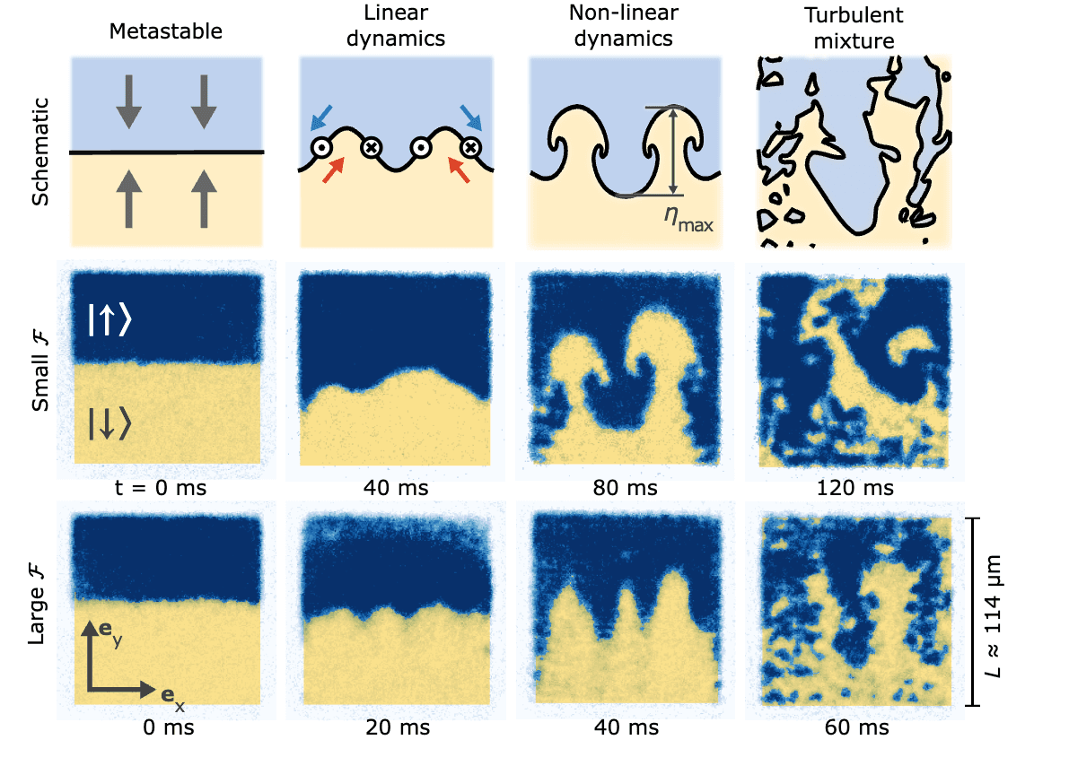 The Rayleigh Taylor Instability In A Binary Quantum Fluid Institute